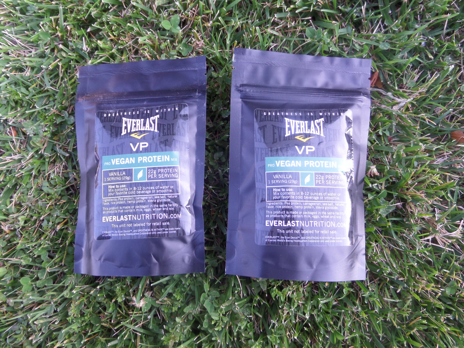 Everlast Vegan Protein - Train With Bain
